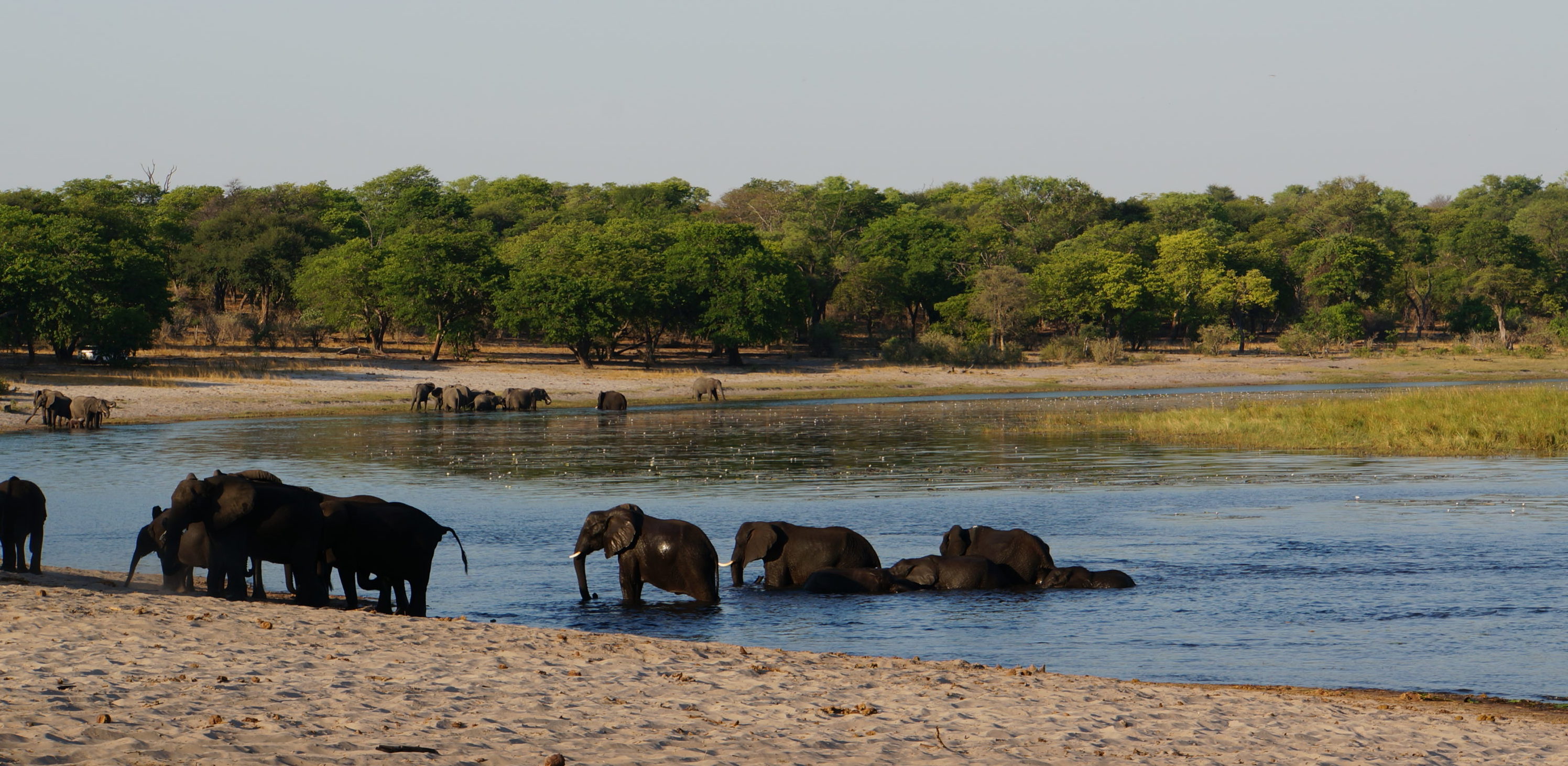 Caprivi Streifen Namibia Tierbeobachtung – Teilzeittravels