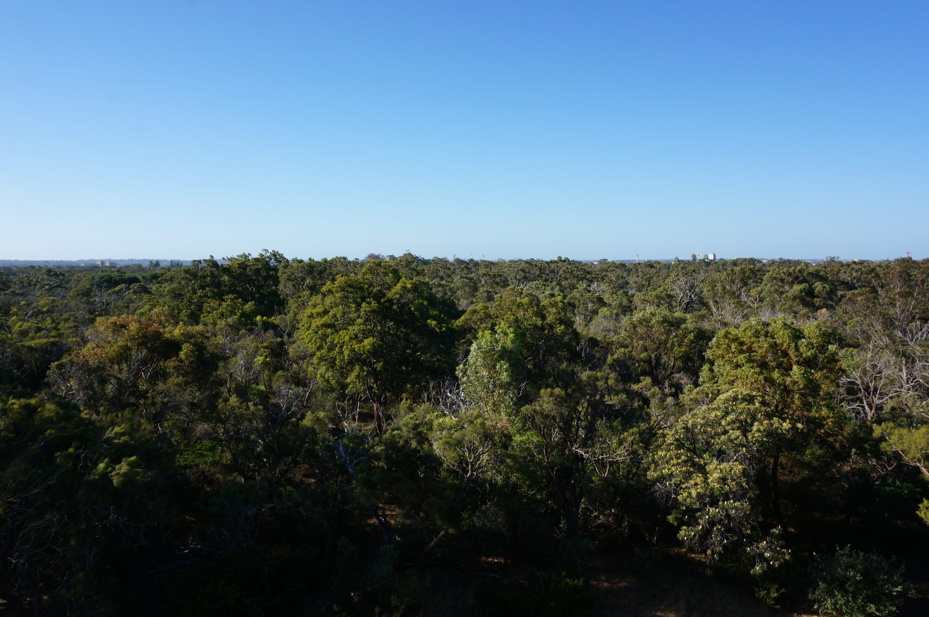 Ausblick DNA Tower Perth – Teilzeittravels